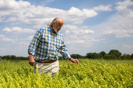 Home | Forever Green